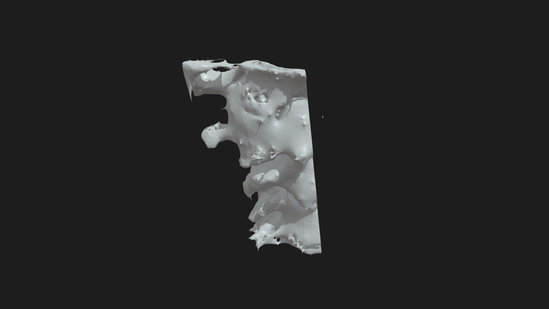 C2 III A 1 sag - 3D model by titopetralia87 [9ac3cca] - Sketchfab