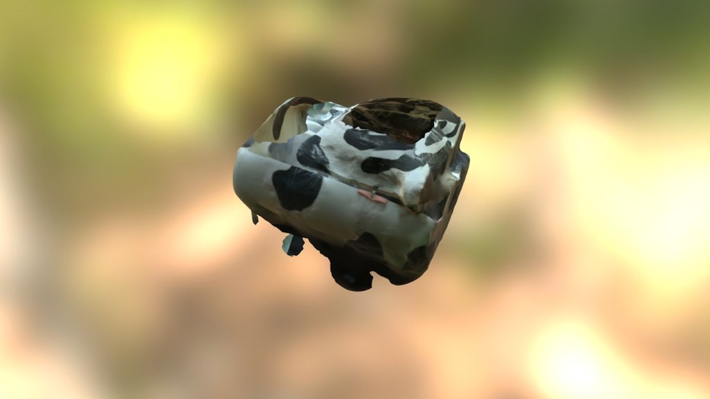 I'm an Idiot - 3D model by rachelmelvin [9acdaab] - Sketchfab