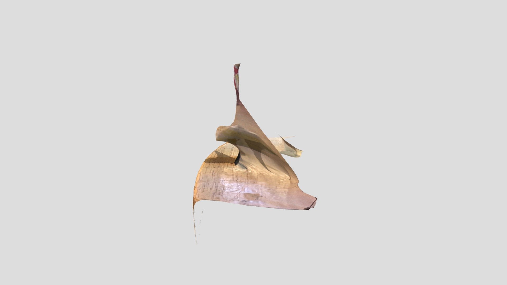 Tails - 3D model by itsthemiles [9ad369d] - Sketchfab