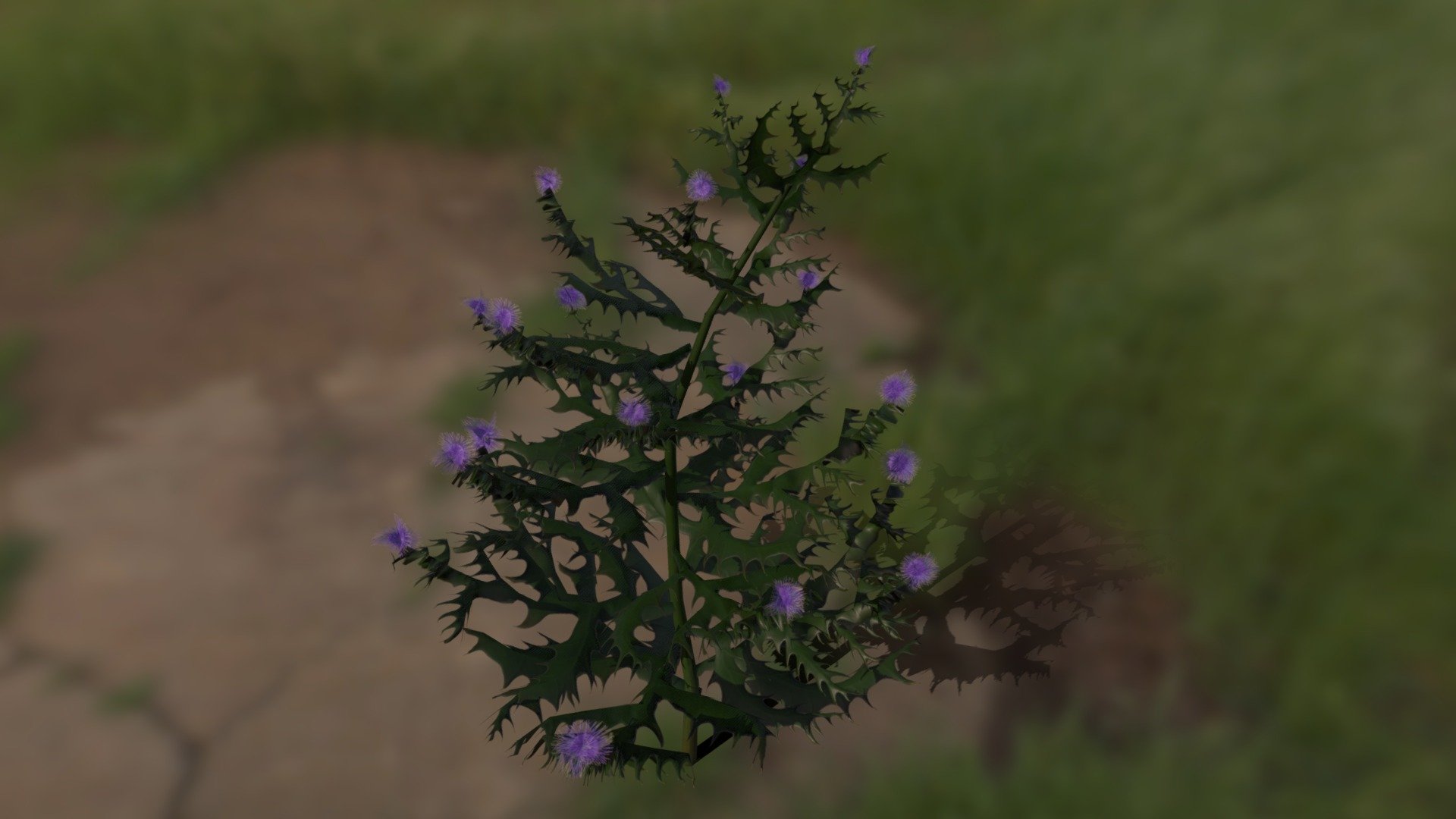 Thistle - Download Free 3D model by Simon Laisné (@350rdlc.sl) [9ad4bc4 ...