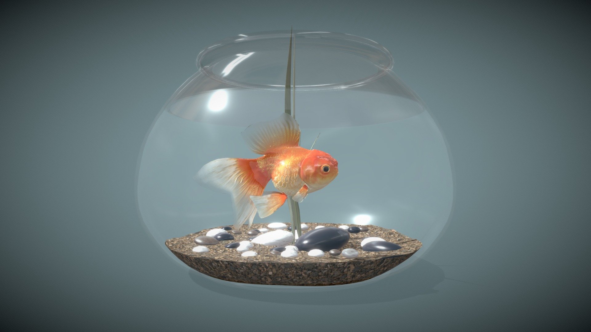 Goldfish_Ball-Aquarium - Buy Royalty Free 3D model by Picasty [9ad93ff ...