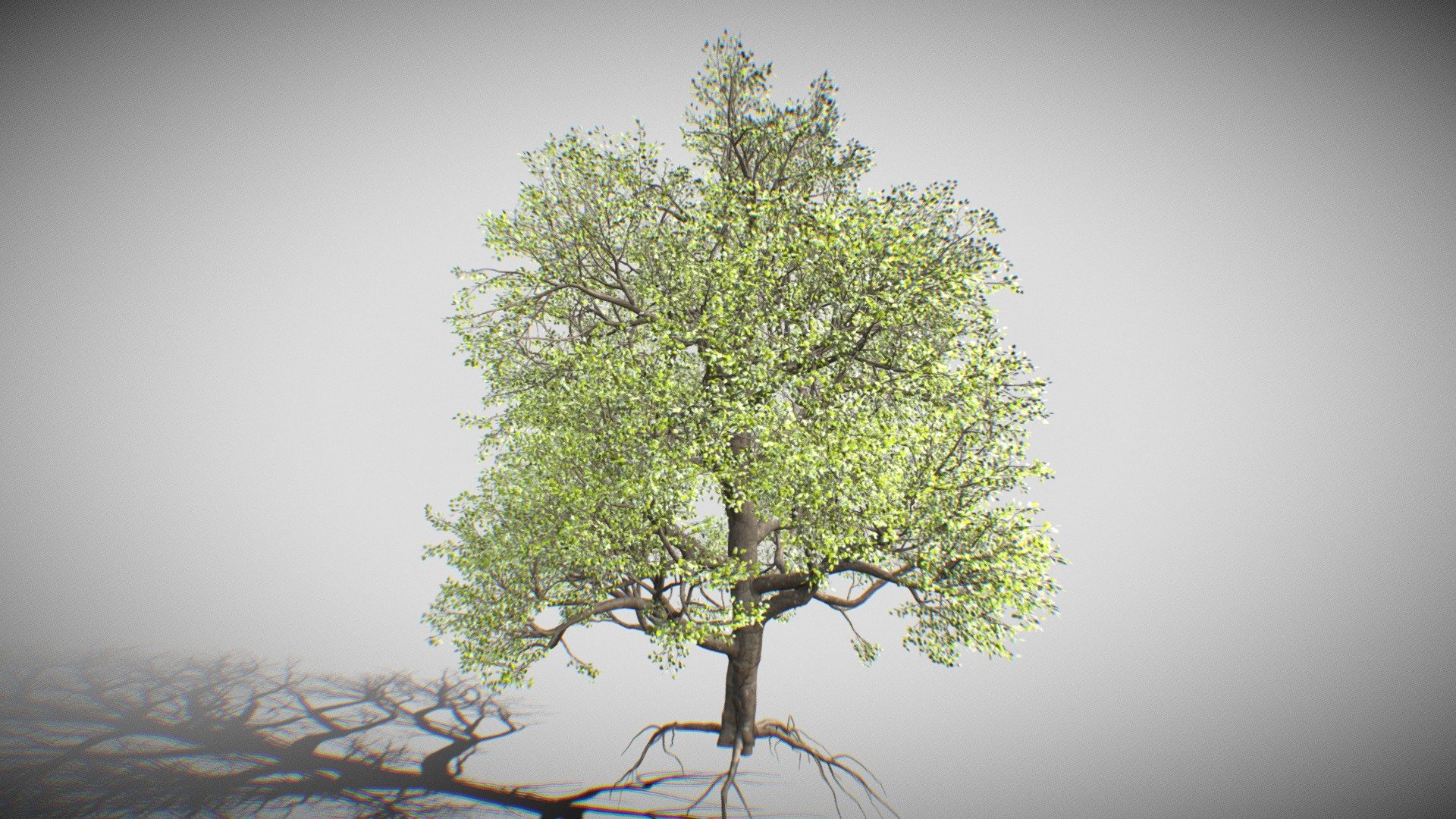 Cinematic Tree - Buy Royalty Free 3D model by Dmitry (@jam3d) [9adcf0b ...