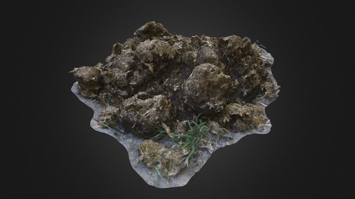 Poop 3D models - Sketchfab