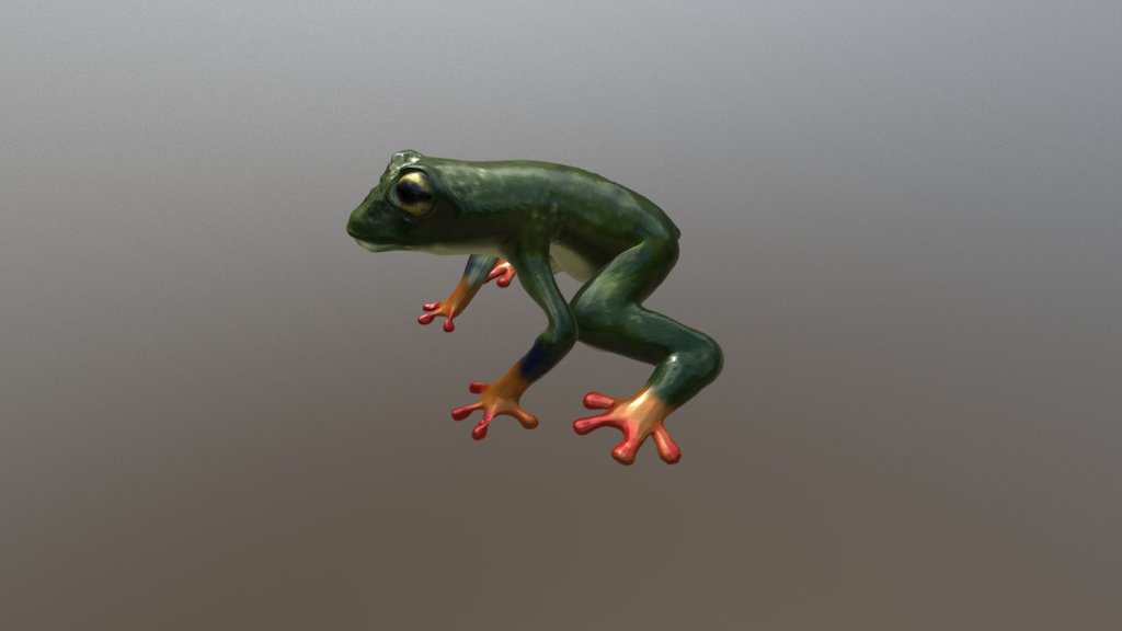 frog_pratice - 3D model by rurumi [9ae2918] - Sketchfab