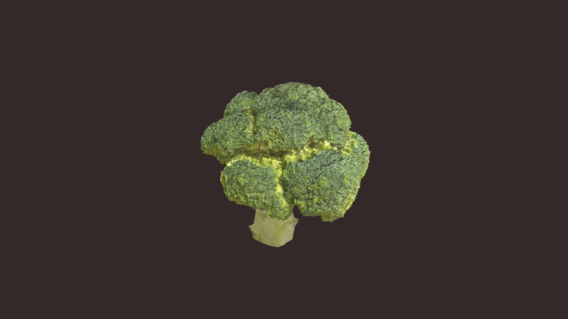 Broccoli Studio4 - Download Free 3D model by Tomkov [9ae611b] - Sketchfab