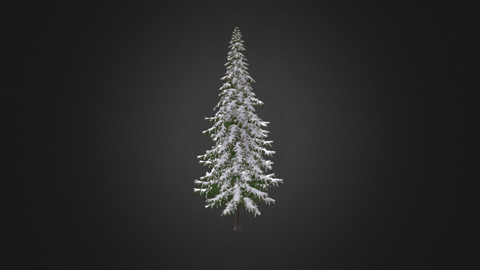 Fir Tree with Snow 3D Model 10m - Buy Royalty Free 3D model by cgaxis ...