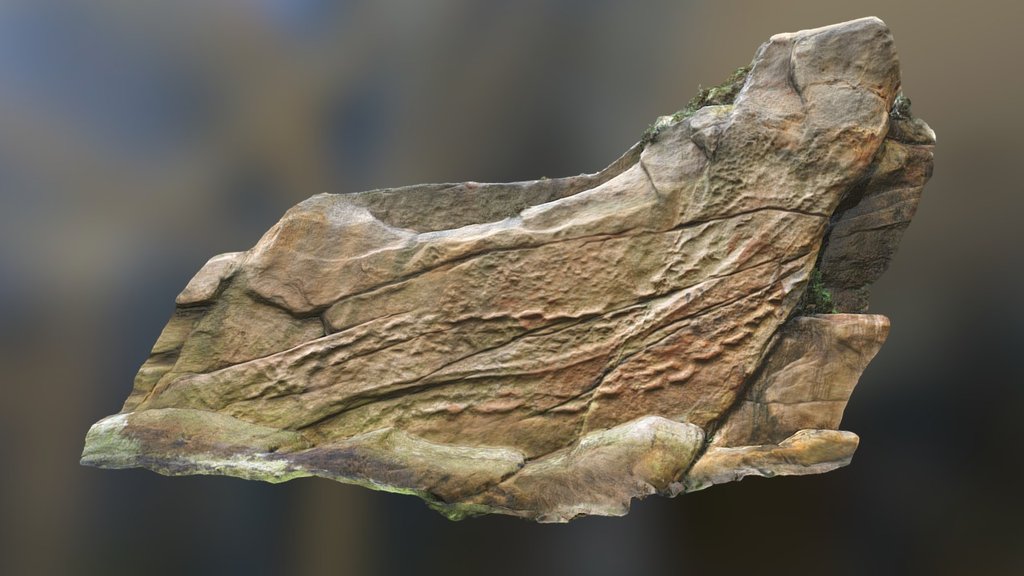 Eurypterid Trackway - Download Free 3D model by Marissa Dudek ...
