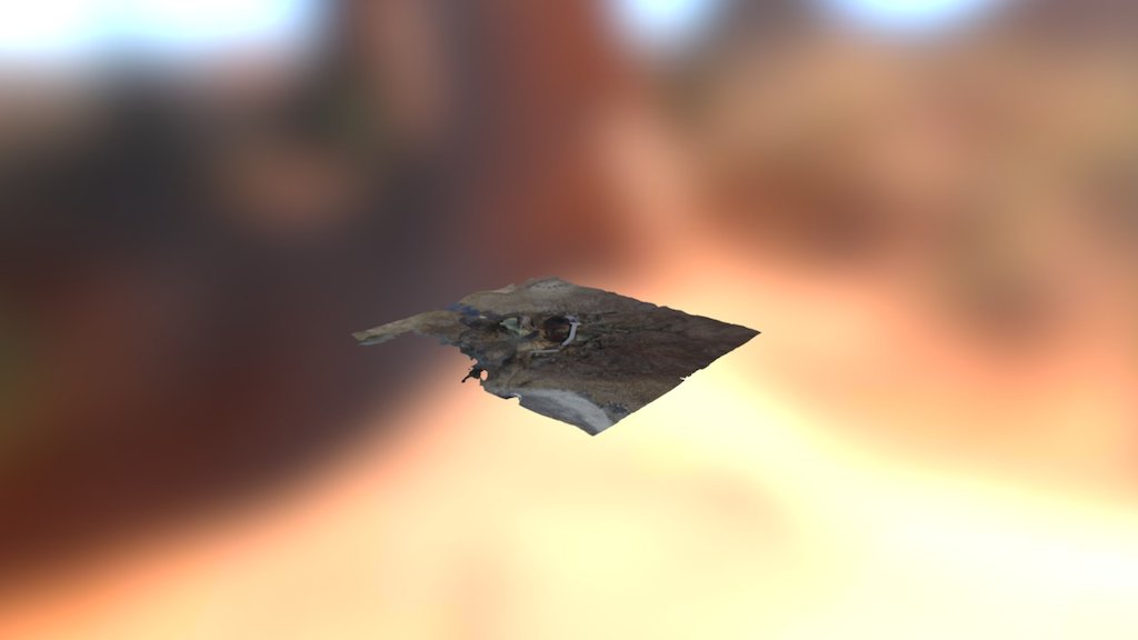 Fly-test1 - 3D model by gateway [9b08402] - Sketchfab