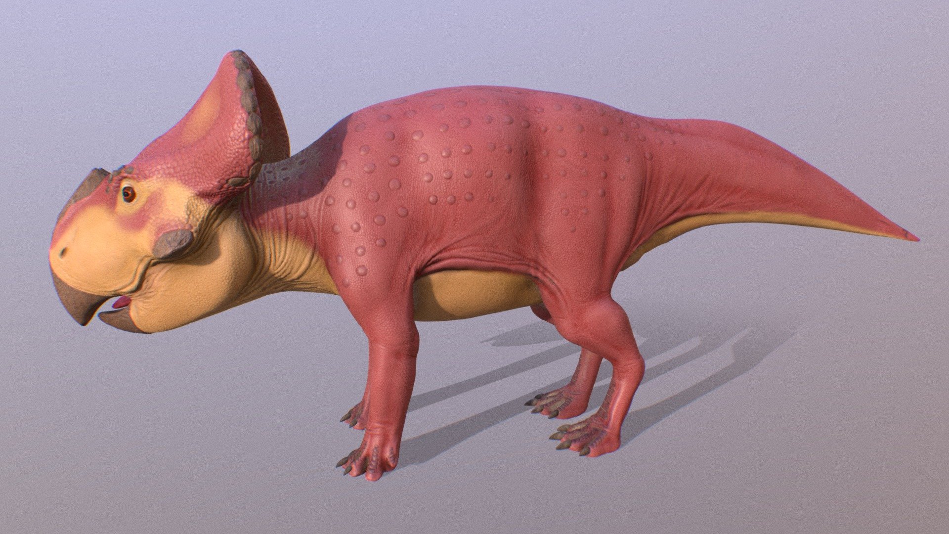 Bix - Dinotopia Protoceratops - Buy Royalty Free 3D model by cafnir ...