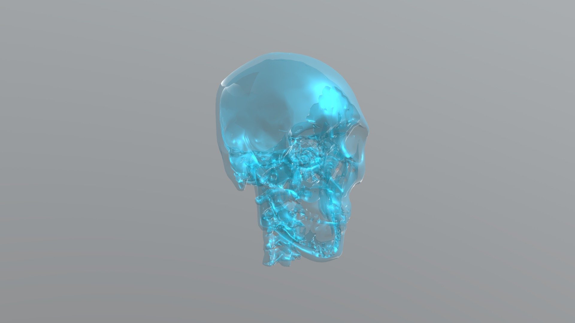 Skull Transparent - Download Free 3D model by wattana.wk [9b16f25 ...