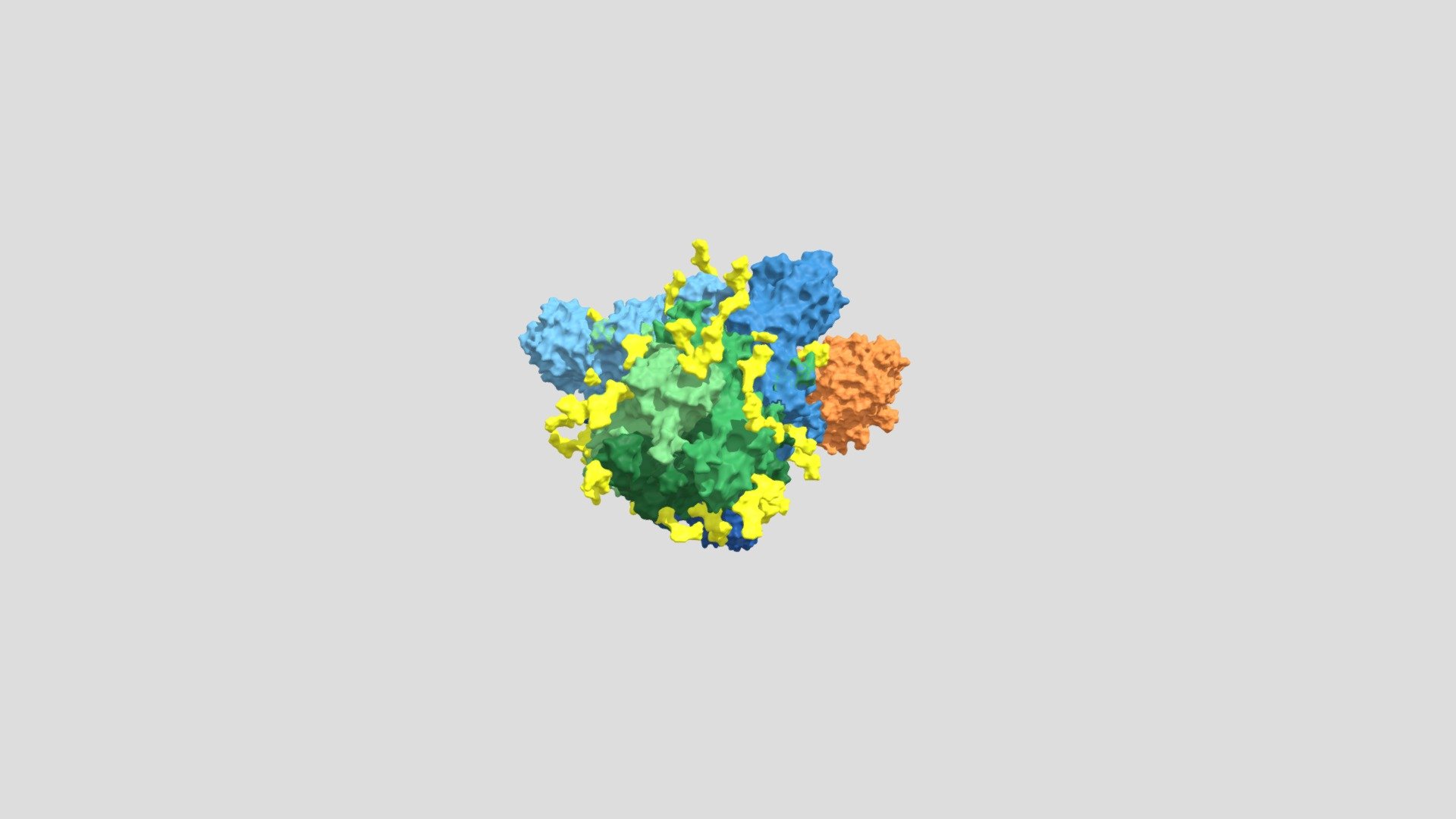 Spike-ACE2 interaction overview - Download Free 3D model by Marc Baaden ...