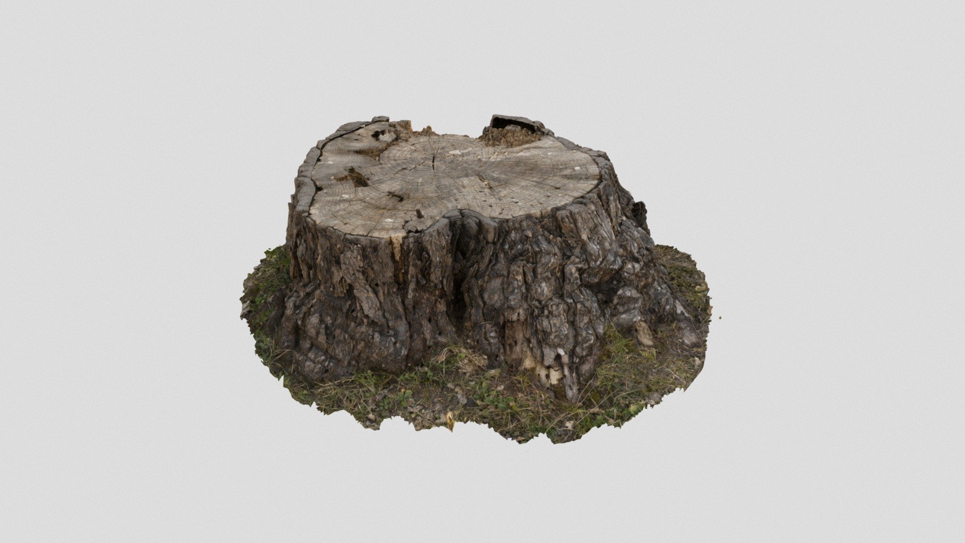 Tronco - 3D model by Astrid (@astridcn) [9b1dc73] - Sketchfab