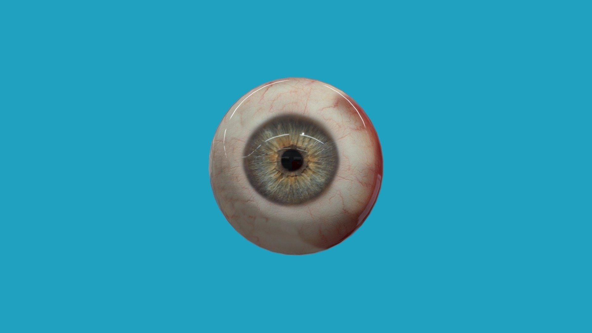 Occhio umano - 3D model by gaetano.manzulli1 [9b1e43e] - Sketchfab