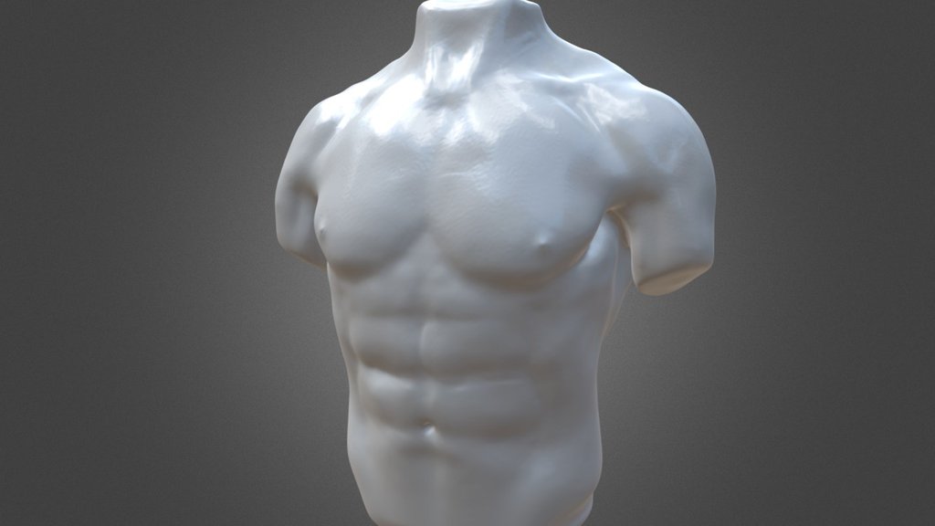 Male torso - 3D model by Bjørnar Aarset (@bjornaraarset) [9b1ff48 ...