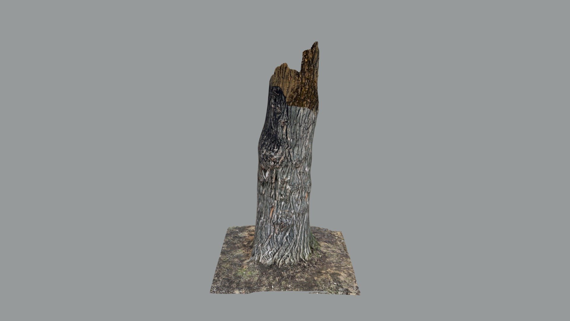 Wood - Download Free 3D model by viktorcor [9b20e6e] - Sketchfab