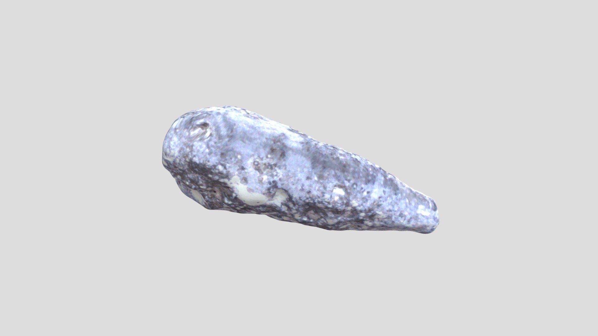 Siphonia Sponge Fossil - Sewerby Cliffs - Download Free 3D model by ...