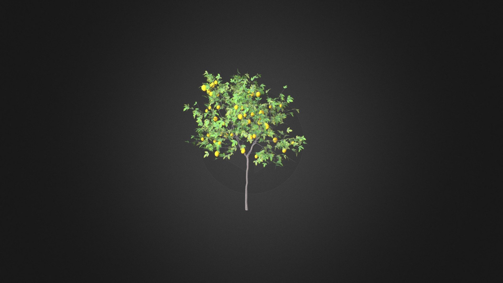 Lemon Tree with Fruits 3D Model 2.4m - Buy Royalty Free 3D model by ...
