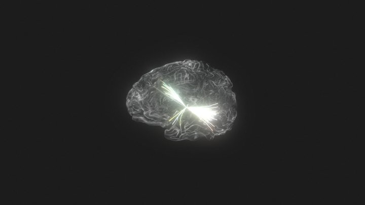 Neuron 3D models - Sketchfab