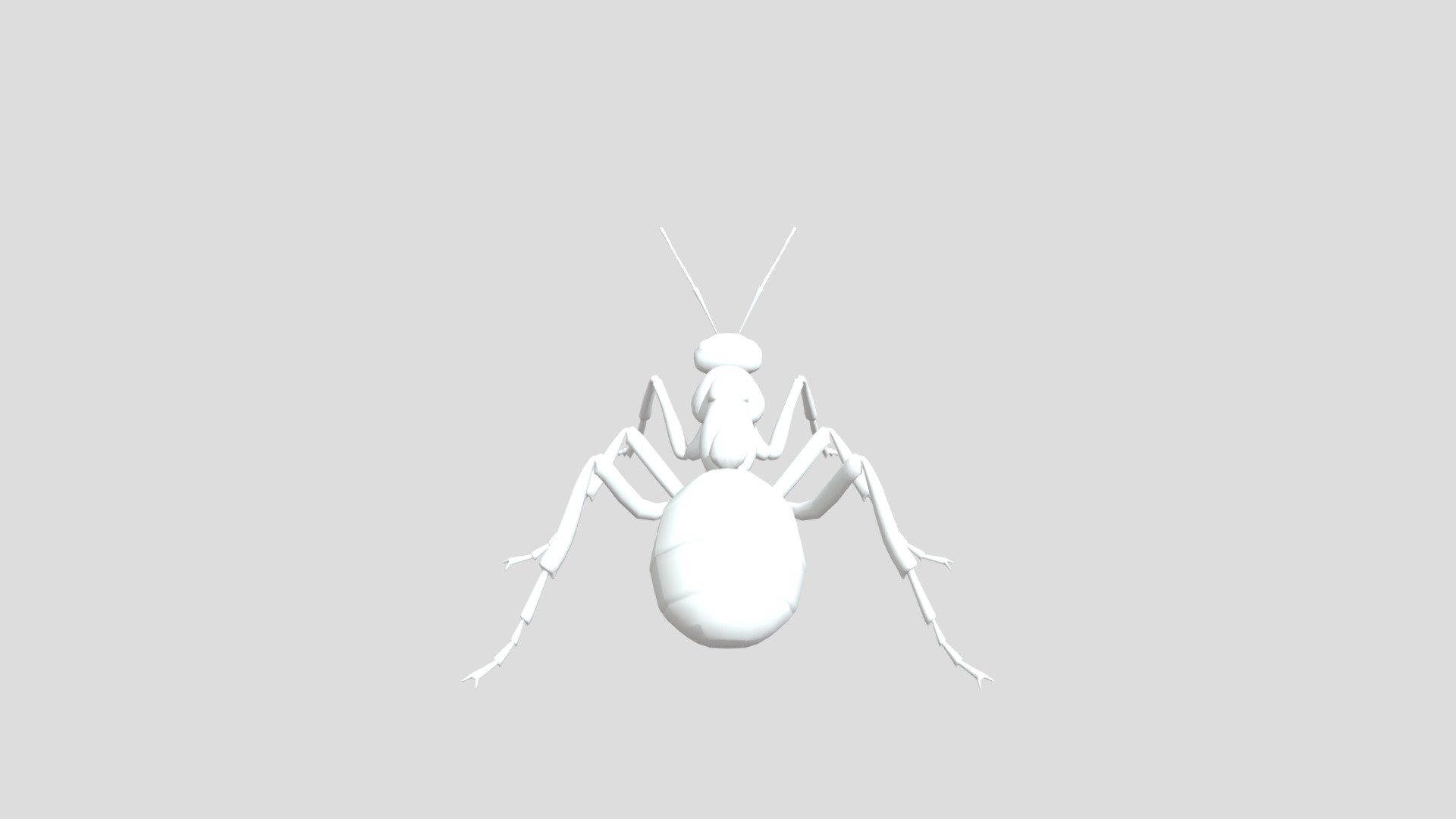 Ant_Model_17-05-2023 - 3D model by v-ebel [9b39f37] - Sketchfab