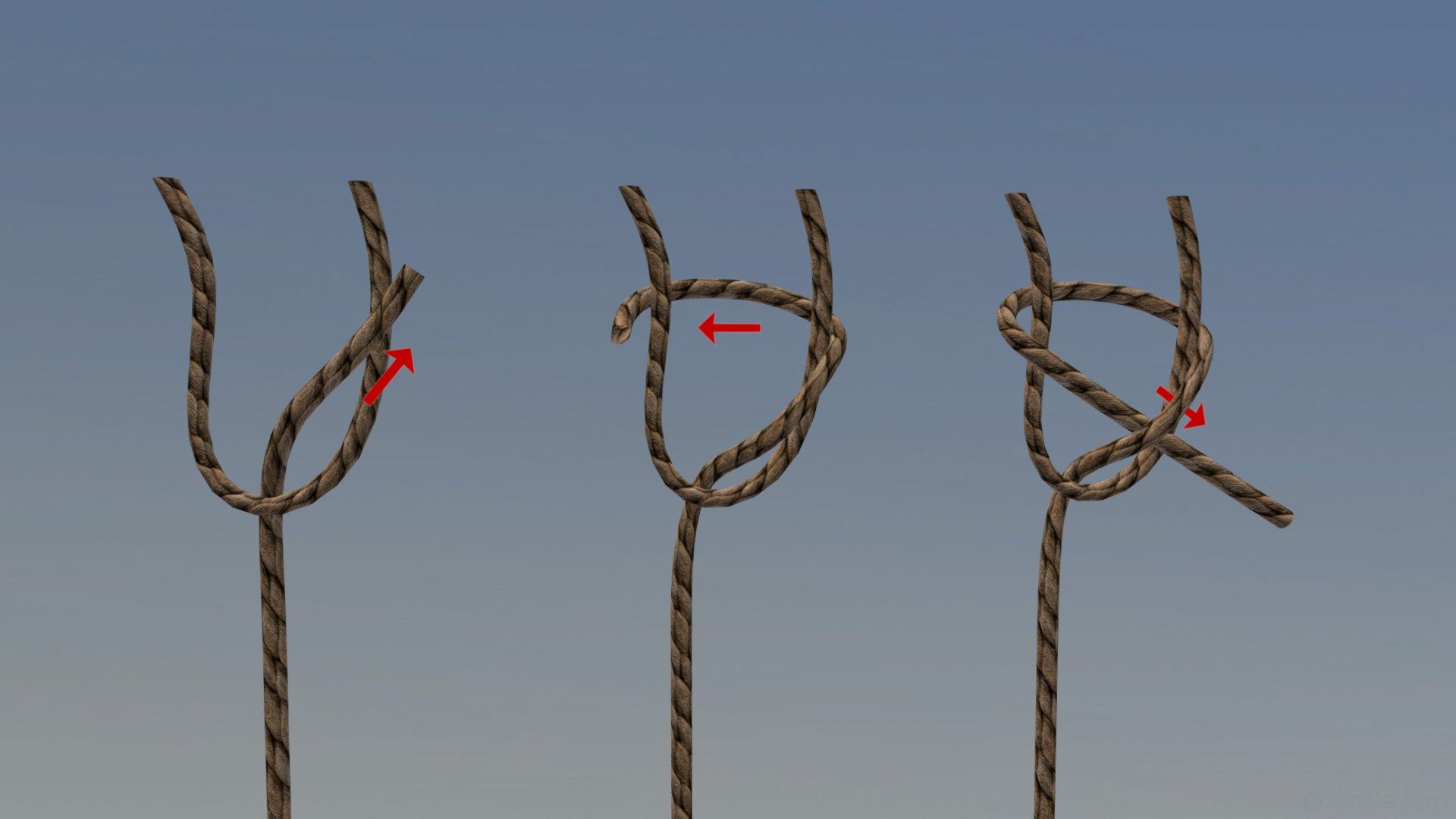 OWT Knots - Sheet Bend - 3D model by BoatUS Foundation ...