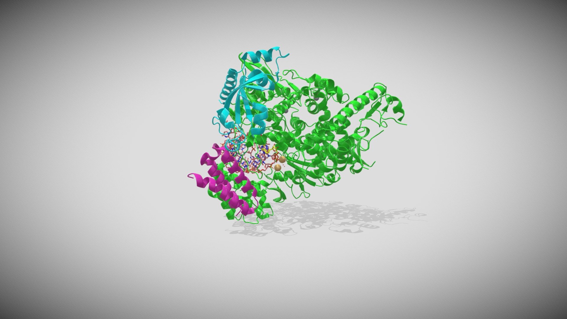 RNA-Dependent RNA Polymerase & Remdesivir - 3D model by ellasimcox ...