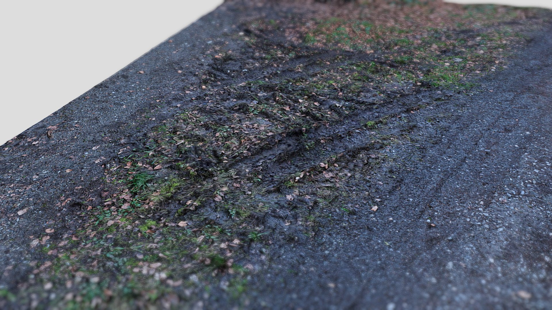 Mud scan 8k 004 - Buy Royalty Free 3D model by immerge [9b43cc0 ...