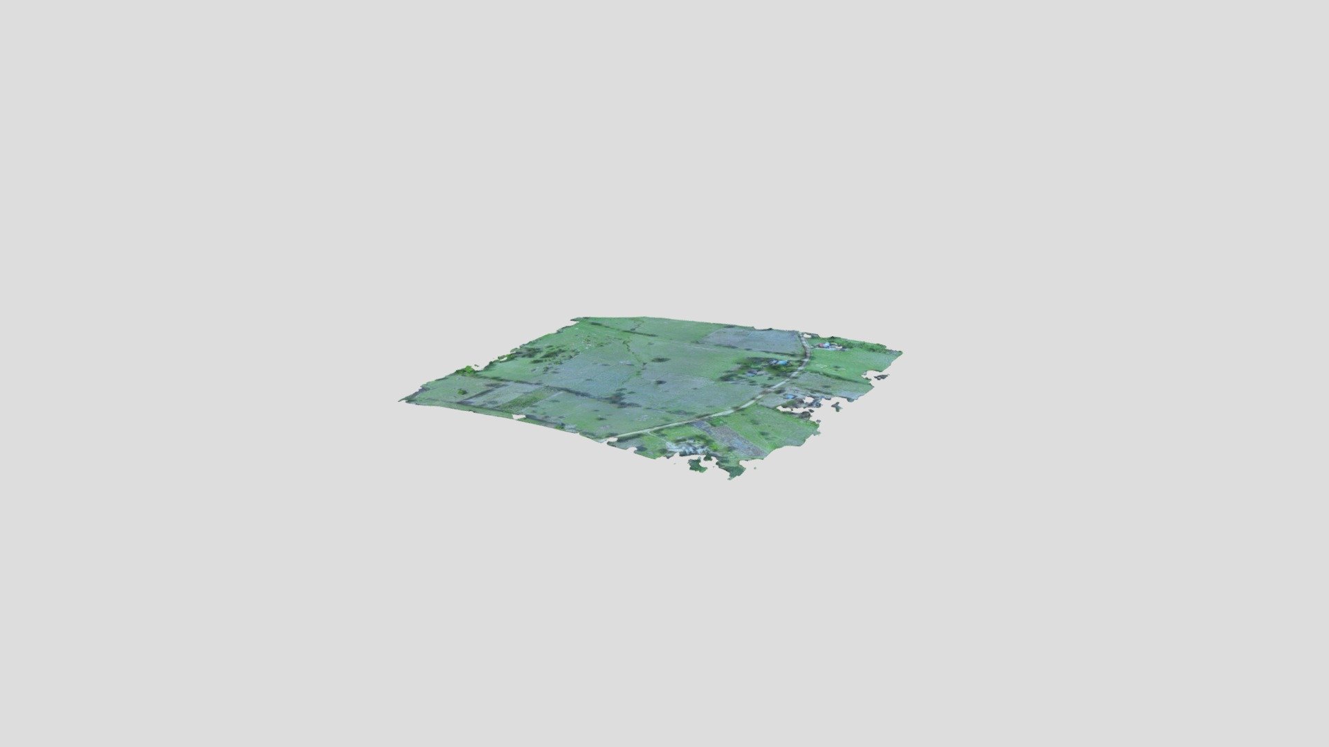 Moricha - 3D model by germanforestal [9b4ac45] - Sketchfab