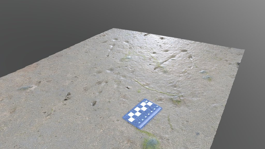 Swan Tracks, Anglesey, soft sand+mud (2) - 3D model by PeterFalkingham ...