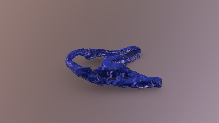 Zebrafish 3D models - Sketchfab