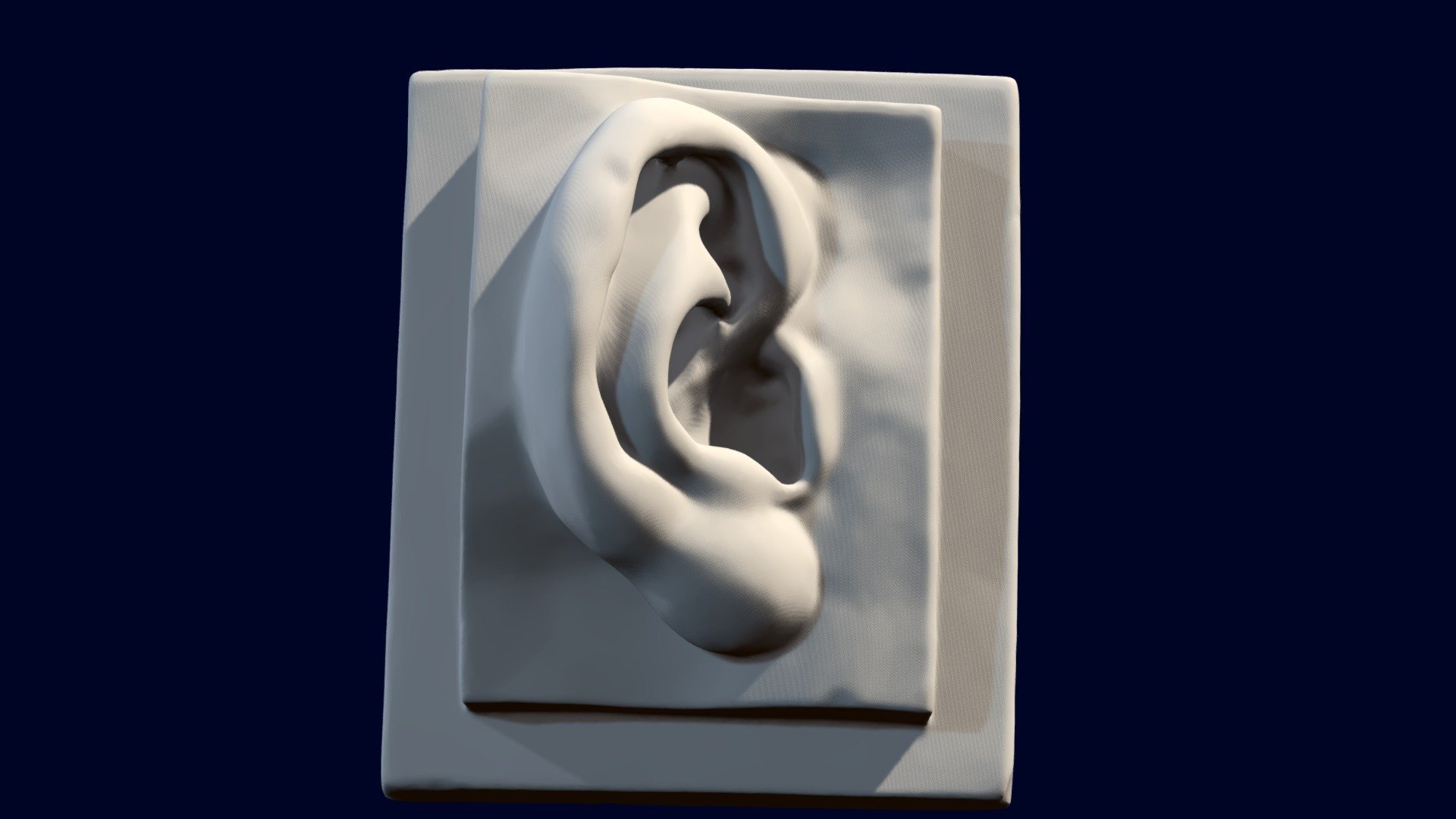 David Ear - Buy Royalty Free 3D model by David.A (@David.AV) [9b5401c ...