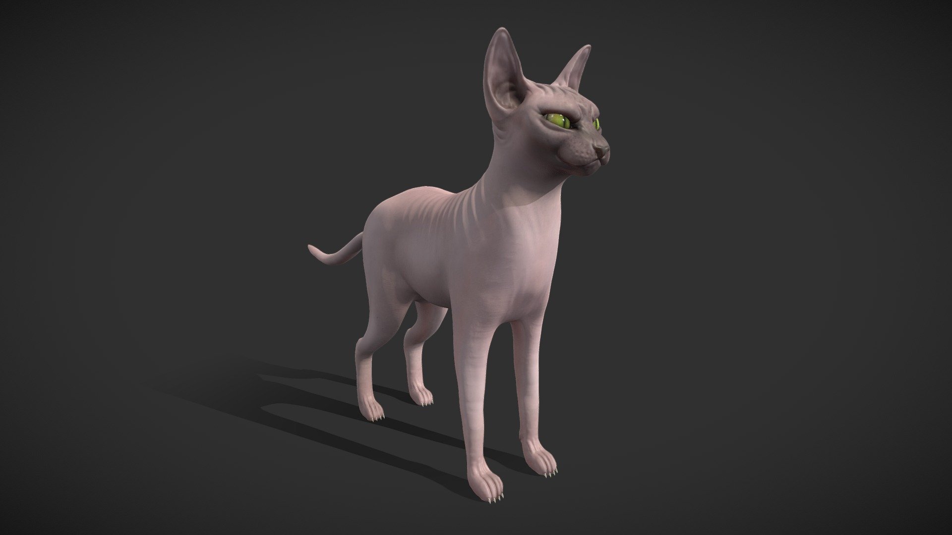 Sphynx Cat - 3D model by Alexandria Maharaj (@Thedovahtamer) [9b544b8 ...