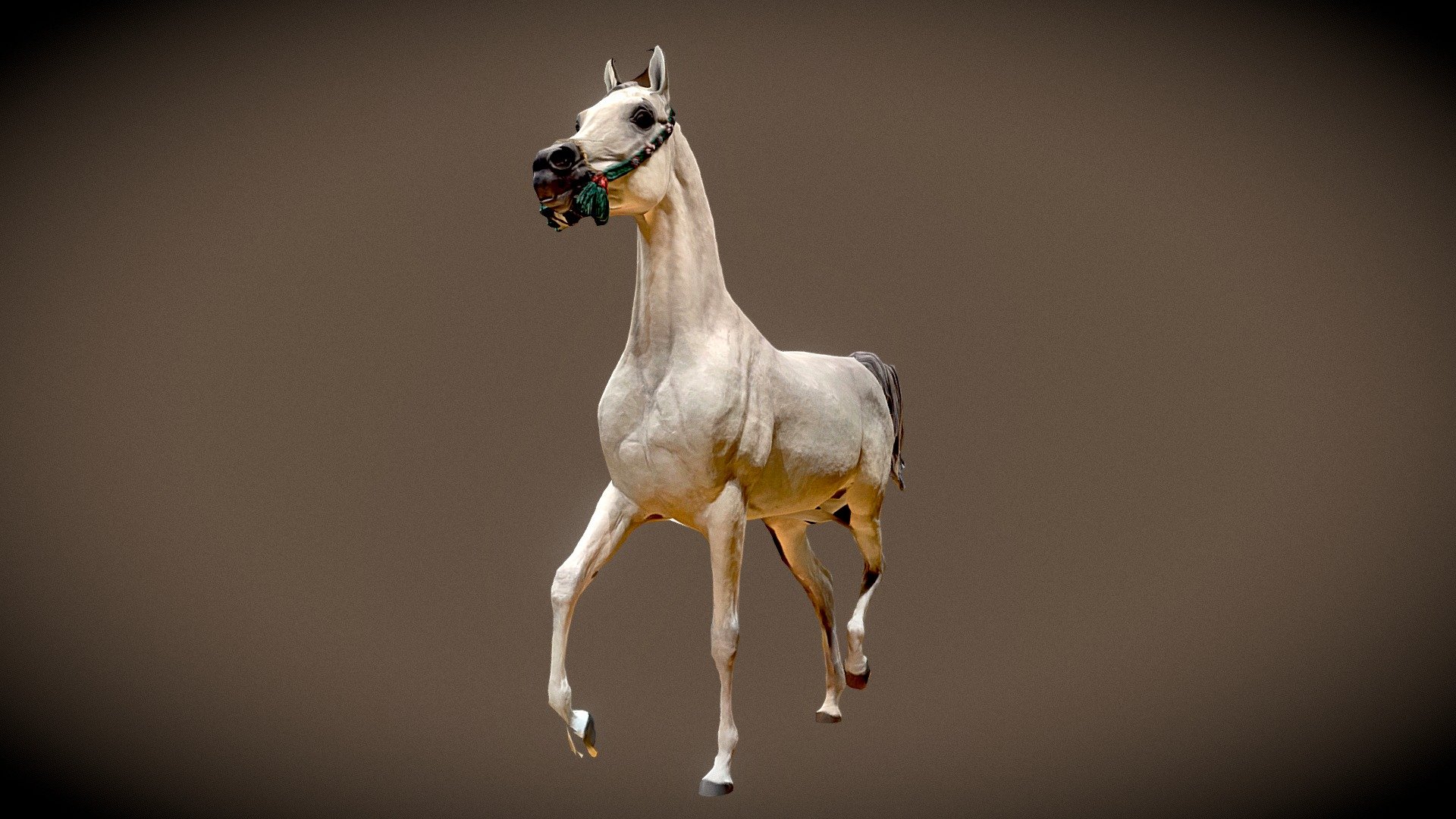 Horse - Download Free 3D model by ben.townsend [9b58091] - Sketchfab