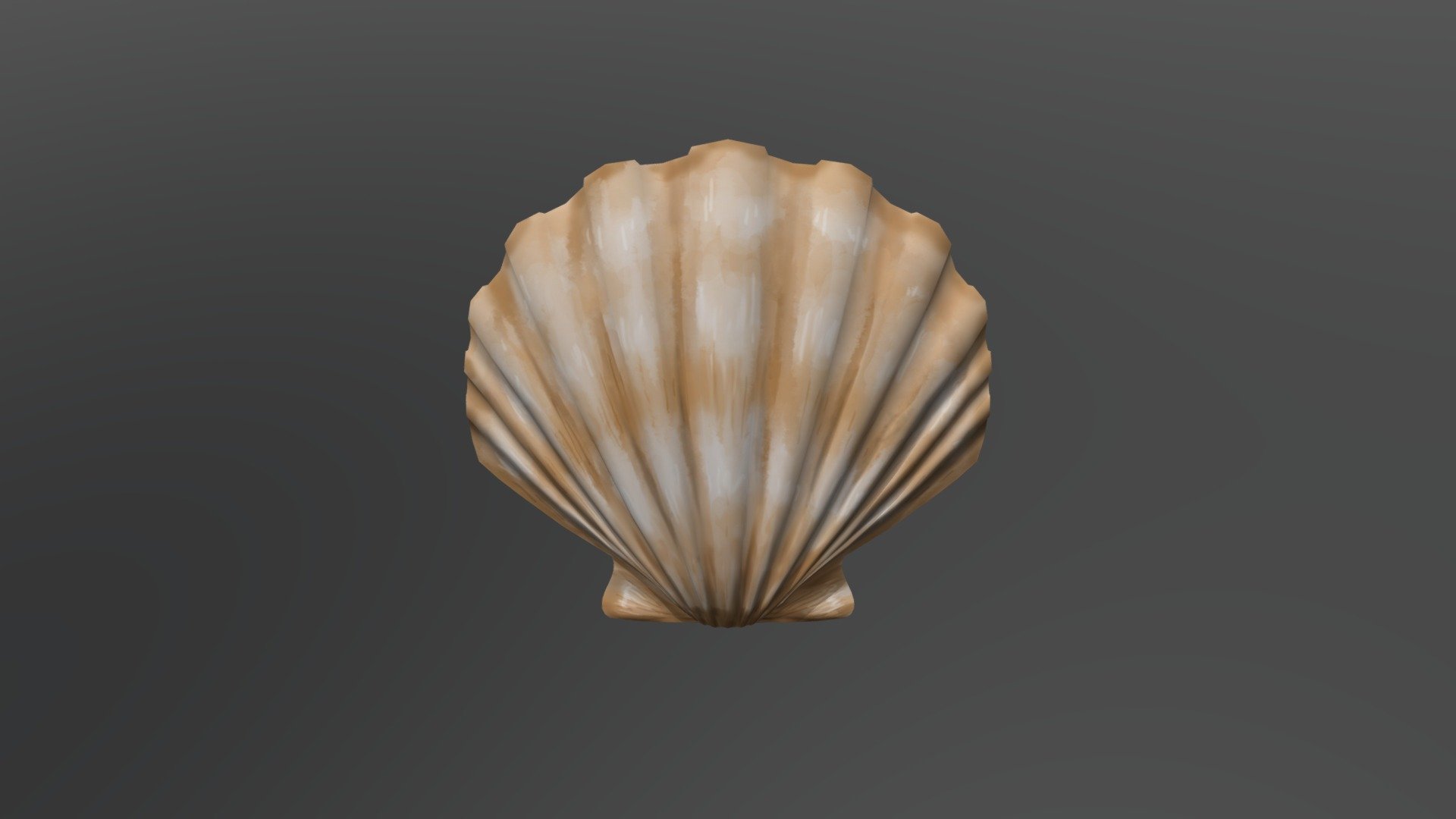 Seashell - Download Free 3D model by yaocheng [9b59afb] - Sketchfab