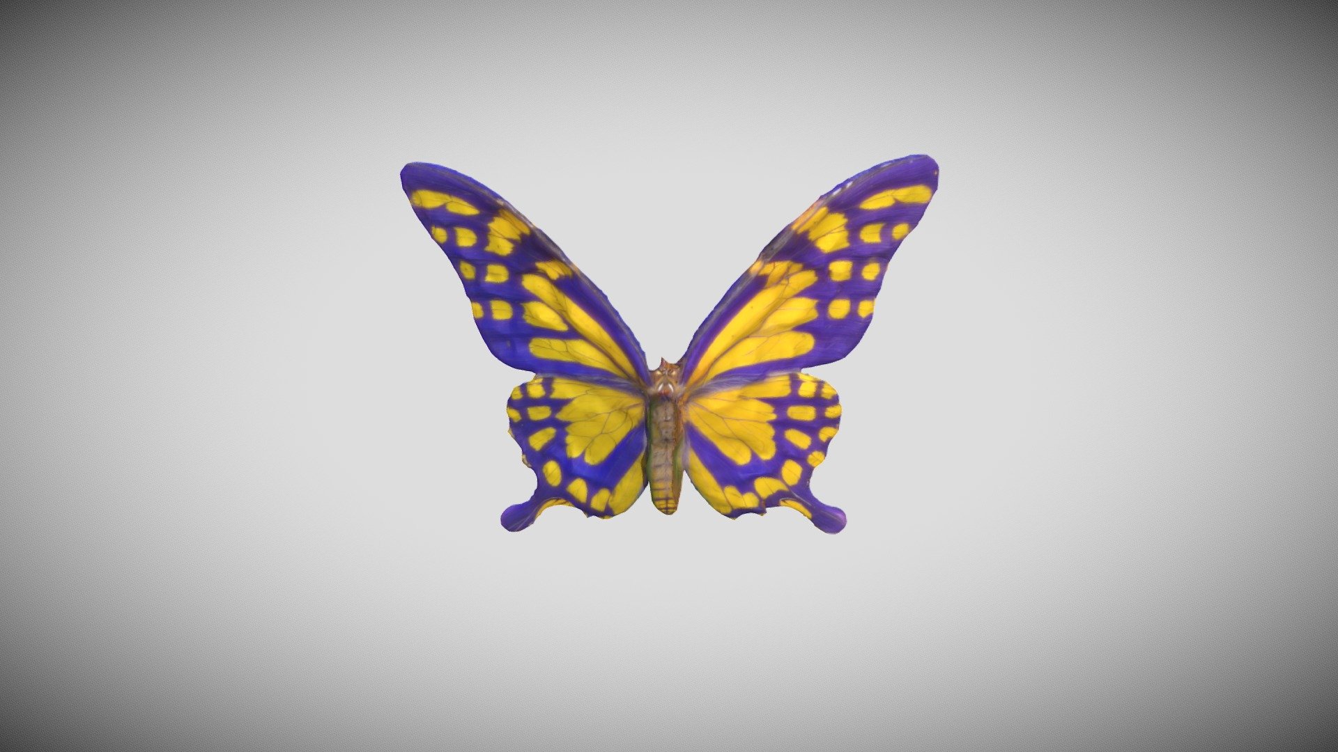 Mariposa - 3D model by teresa.cigarroa [9b5bbd5] - Sketchfab