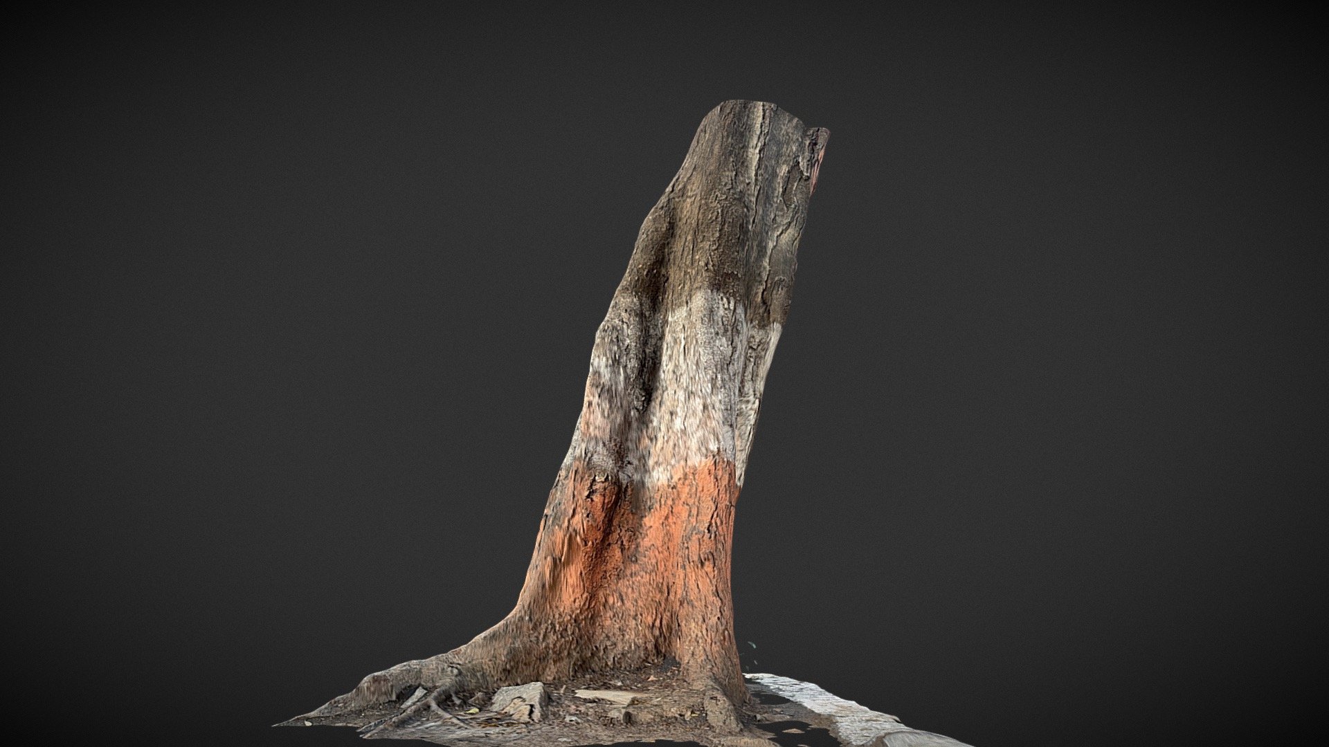 Tree Trunk - Download Free 3D model by raobott [9b6444c] - Sketchfab