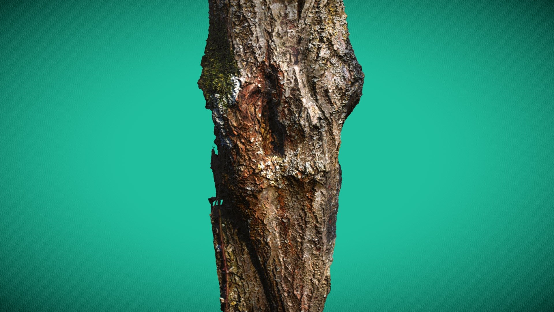 Hitland Park Tree Bark - 3D model by gspeed0689 [9b64d38] - Sketchfab