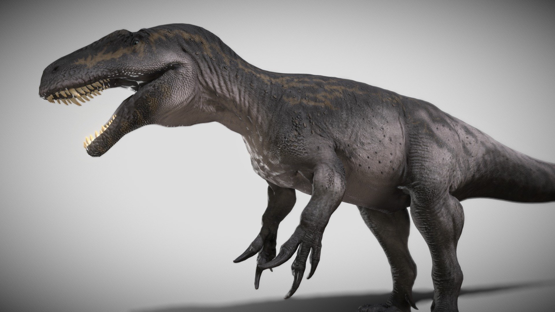 Neovenator - Buy Royalty Free 3D model by robertfabiani [9b78356 ...