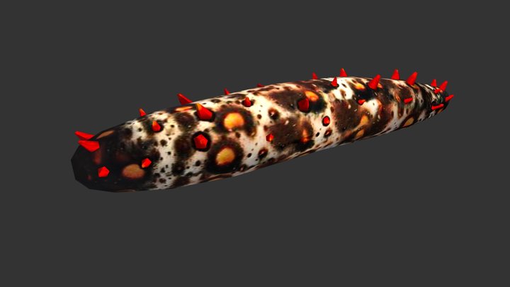 Sea-cucumber 3D models - Sketchfab