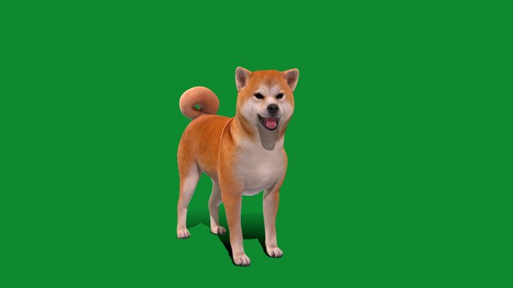 Shiba-dog 3D models - Sketchfab