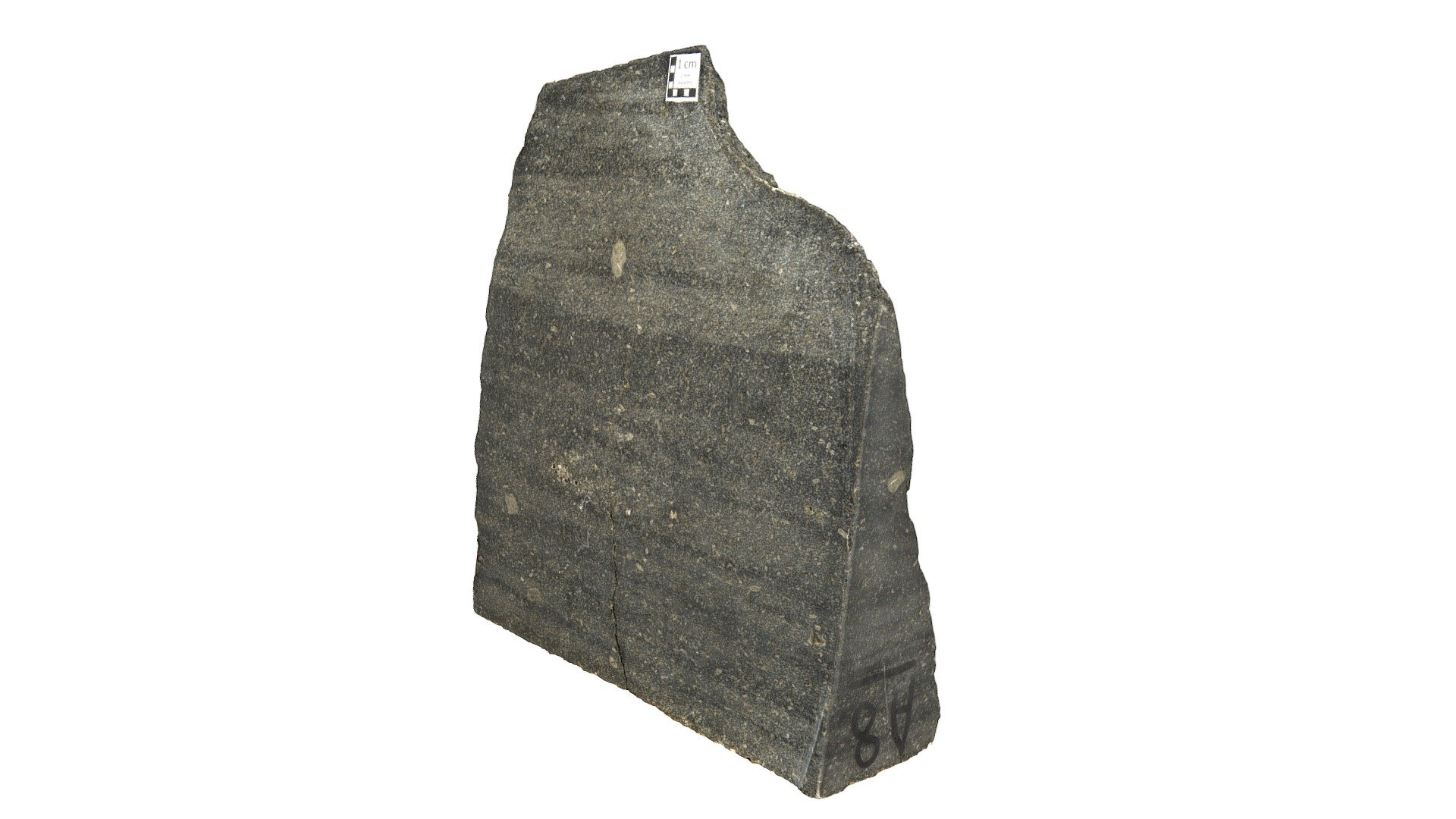 UTas_KEA208_A8 - 3D model by AusGeol.org (@AusGeol) [9b8c910] - Sketchfab