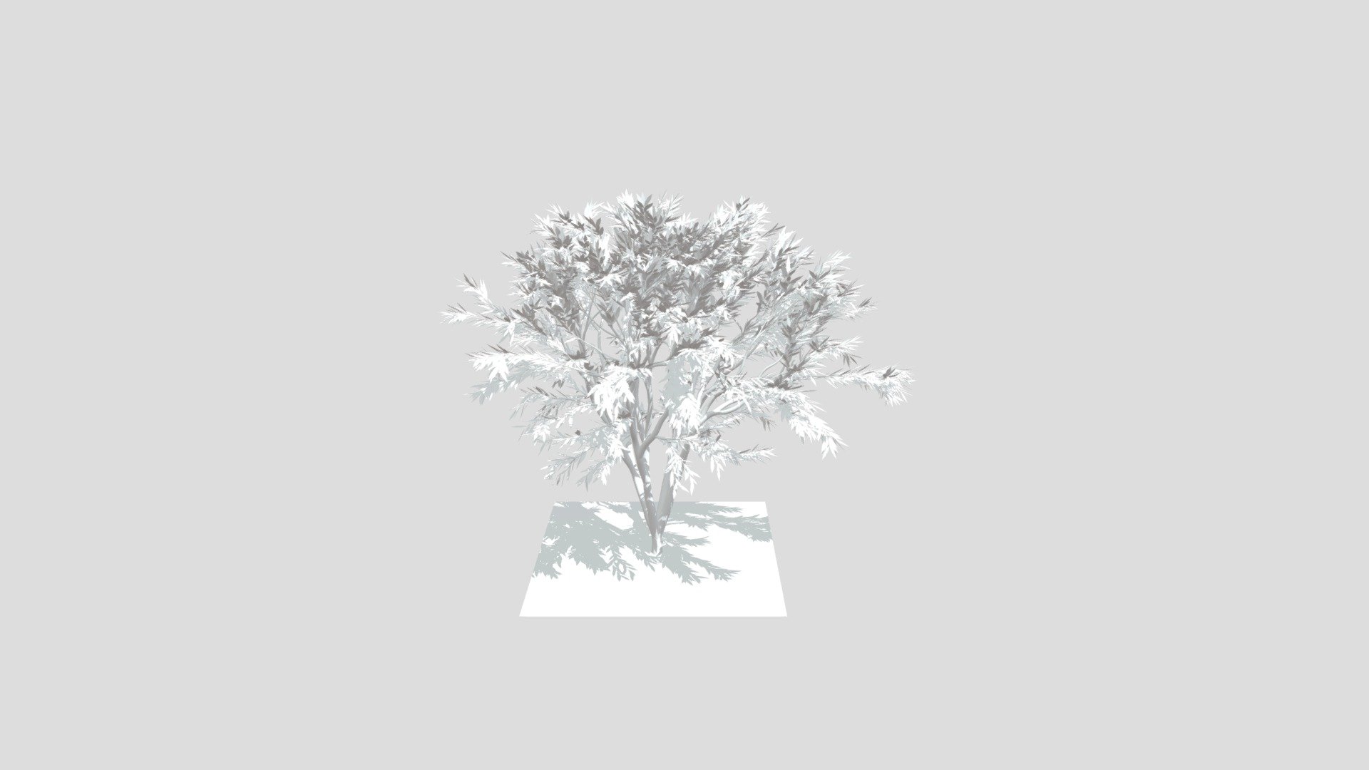 Tree Low - 3D model by vishalvishurc390 [9b8df1b] - Sketchfab