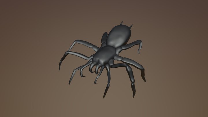 Spiders 3D models - Sketchfab