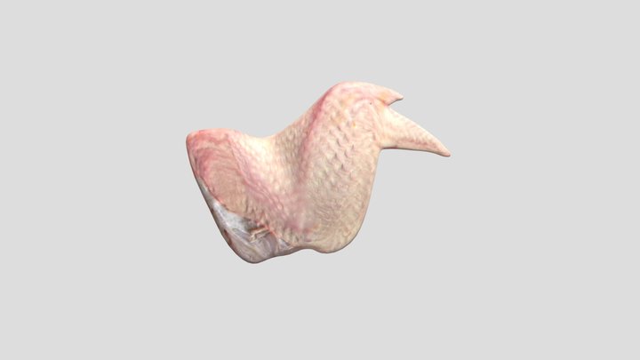 Nugget 3D models - Sketchfab