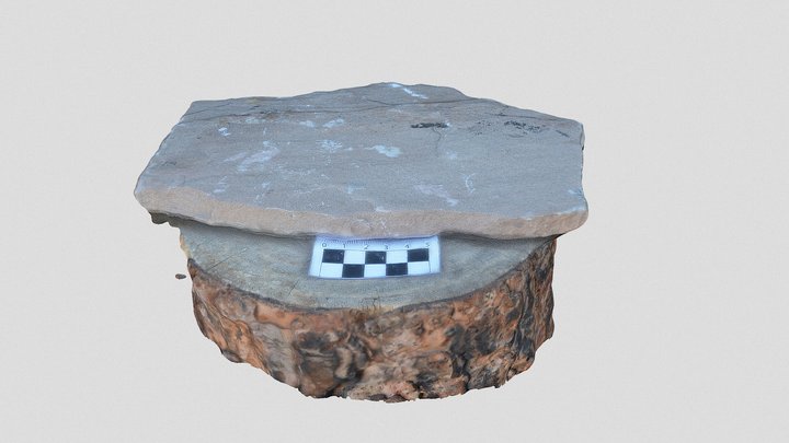 Lamination 3D models - Sketchfab
