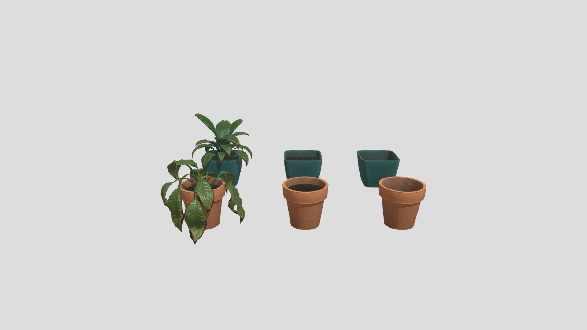 Plants - Download Free 3D model by bikravnis [9b9d0cc] - Sketchfab