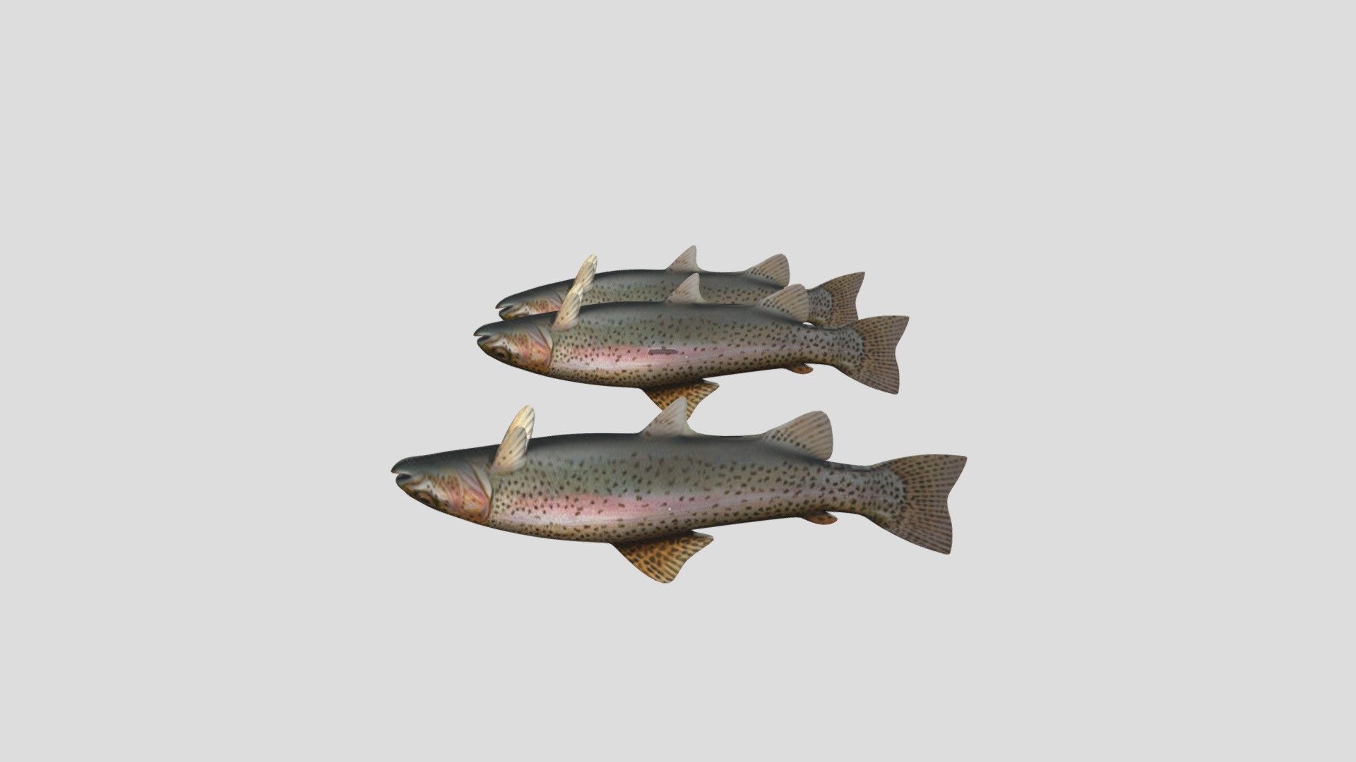 FISH - 3D model by swapnil.nilajkar [9ba50f0] - Sketchfab