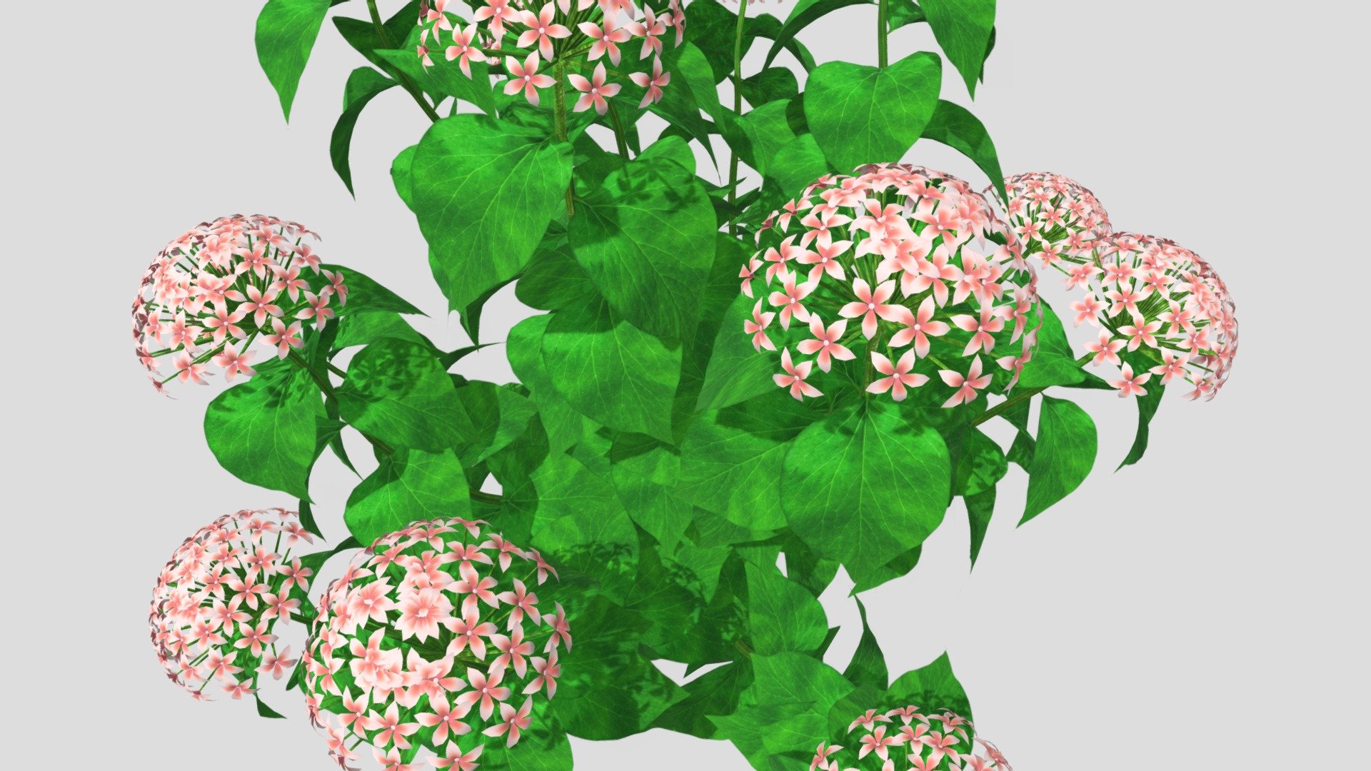 Hydrangea Flower 3d model - Buy Royalty Free 3D model by KIZILBOGA (@keremkizilboga) [9ba6144 ...