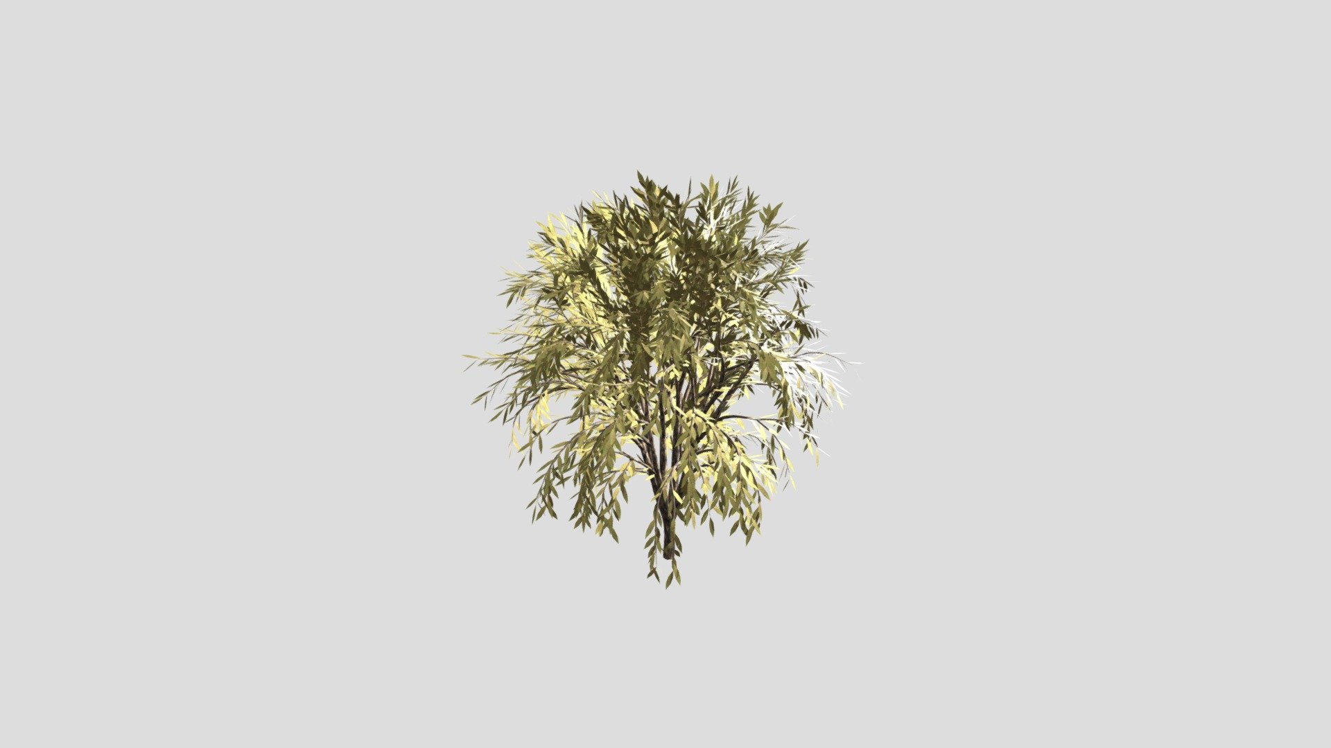 Green Tree12 - Download Free 3D model by devilraju [9baddfd] - Sketchfab