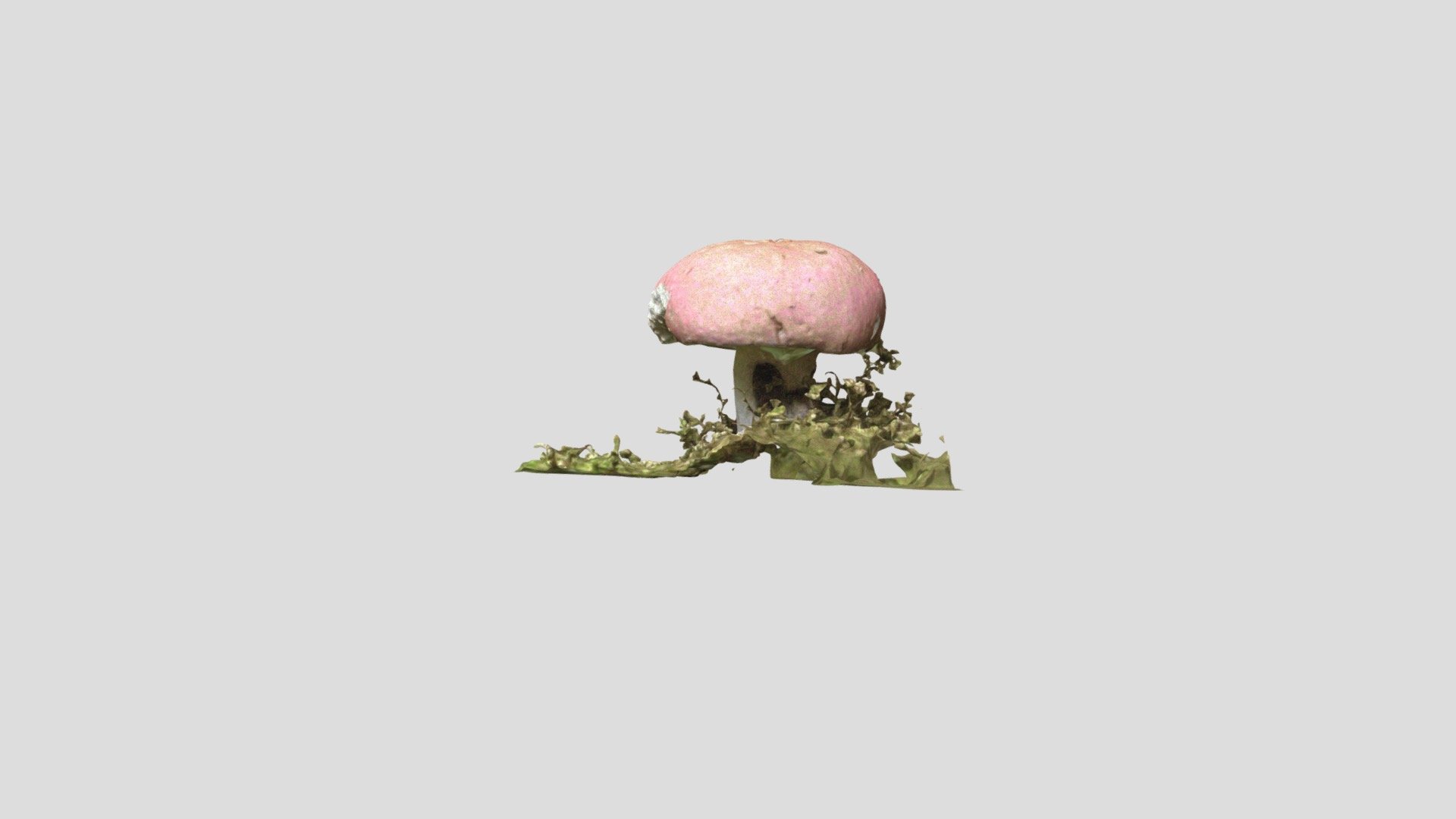 Textured_mesh_1 - 3D model by melaniemorgan [9bb2ec2] - Sketchfab