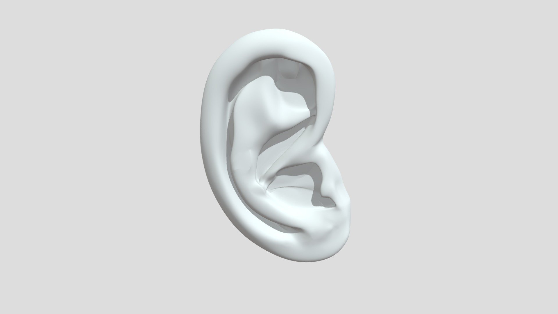 Human Ear - 3D model by stromvisuals [9bb597a] - Sketchfab